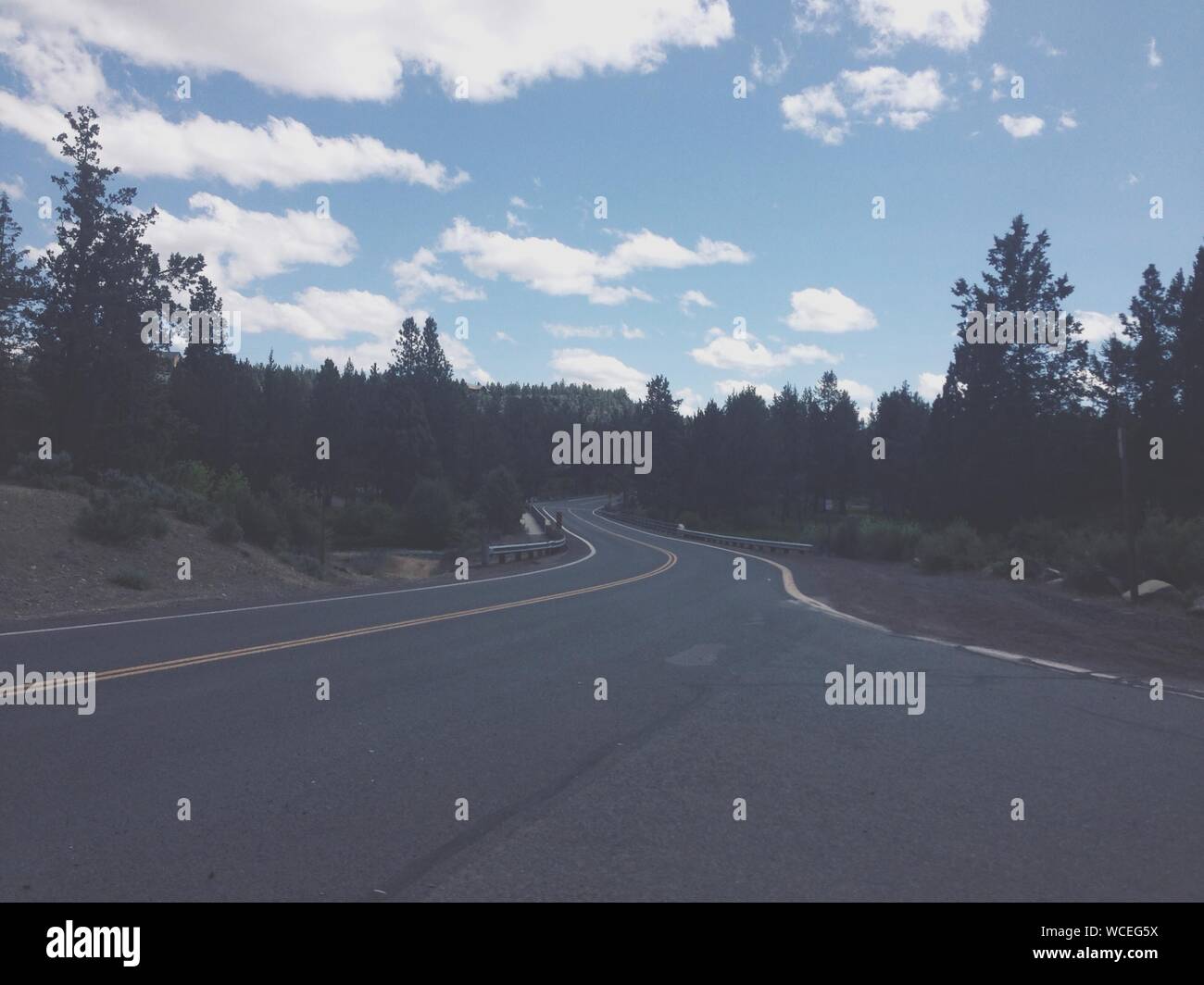 Trees by motorway hi-res stock photography and images - Alamy