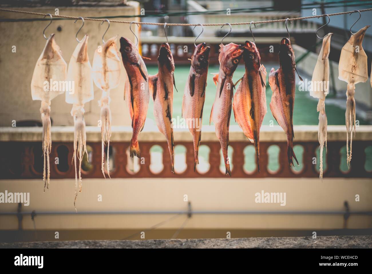Meat hanging on hooks hi-res stock photography and images - Alamy