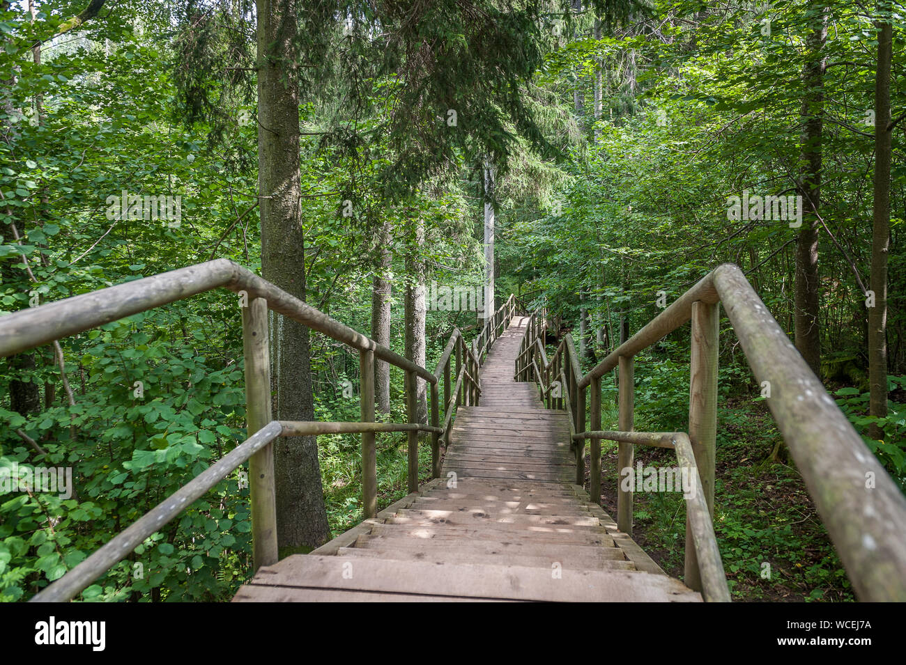 Wooden path and stairs leading to Staburags cliff of Rauna. Latvia ...
