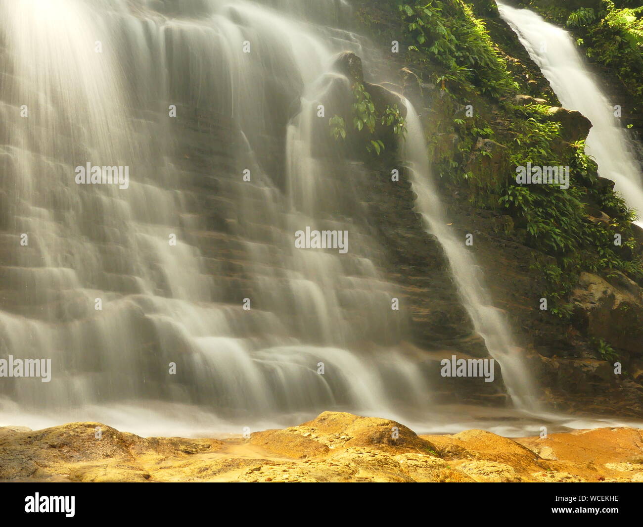 Rocks rainforest hi-res stock photography and images - Alamy