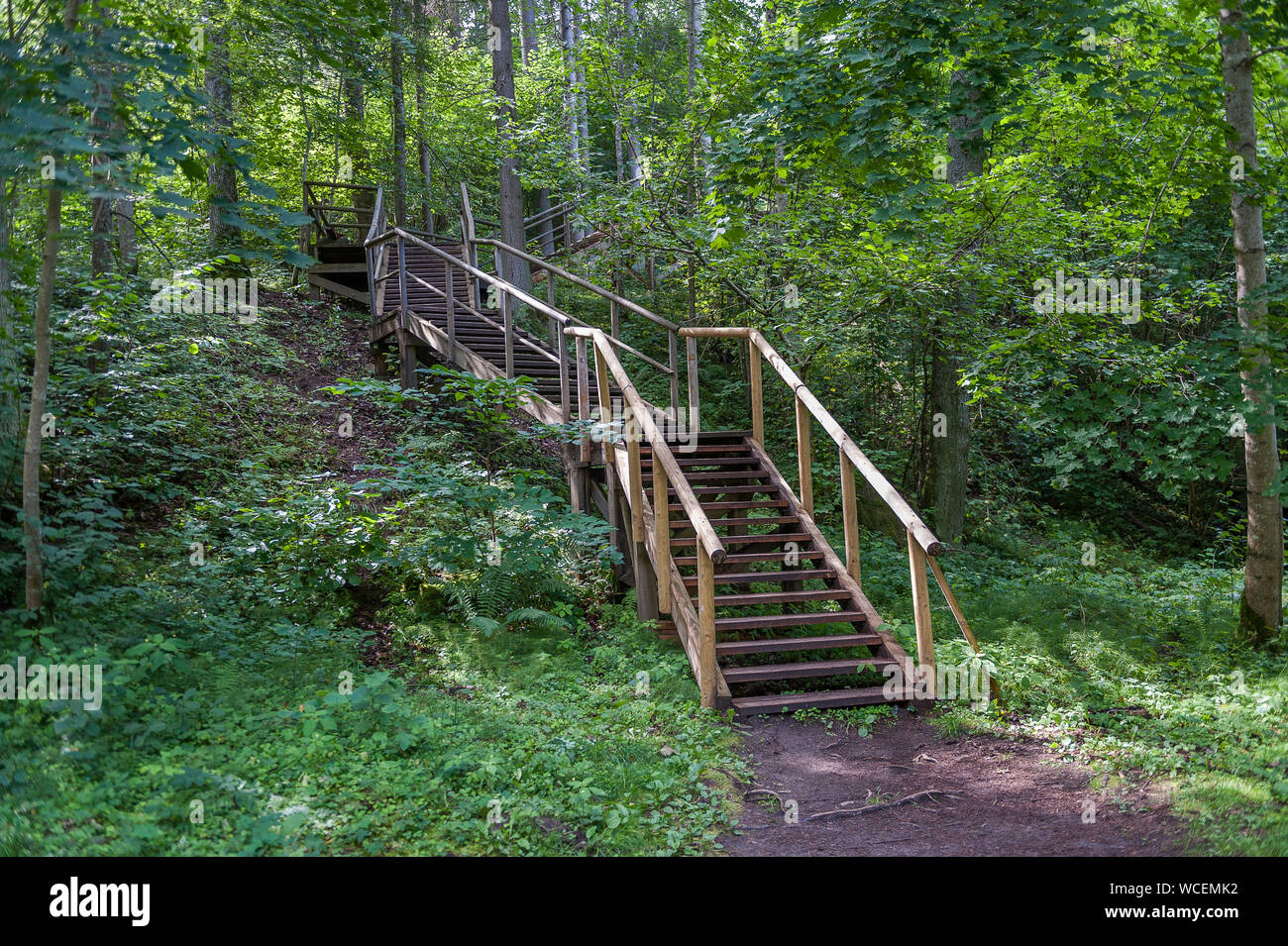 Wooden path and stairs leading to Staburags cliff of Rauna. Latvia ...