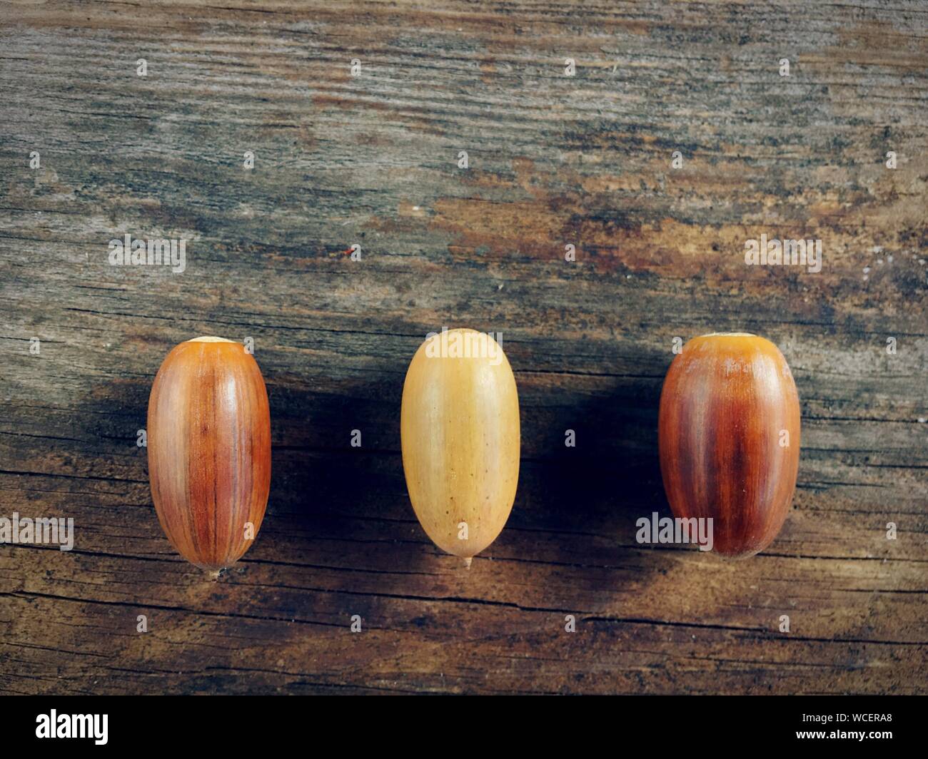 The three acorns hi-res stock photography and images - Alamy