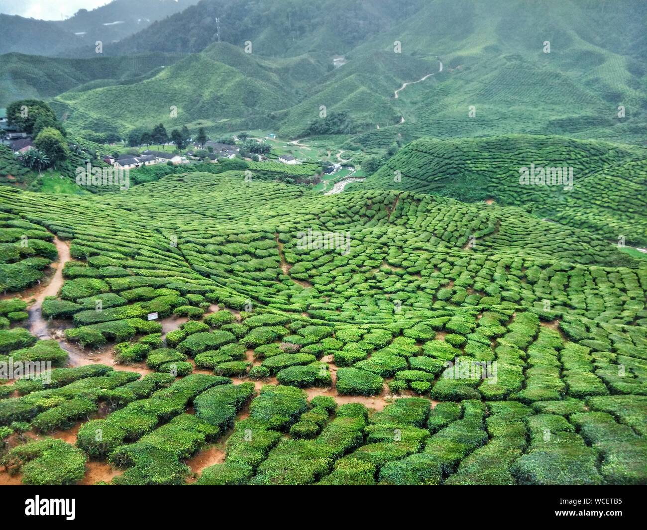Aerial View Of Green Landscape Stock Photo - Alamy
