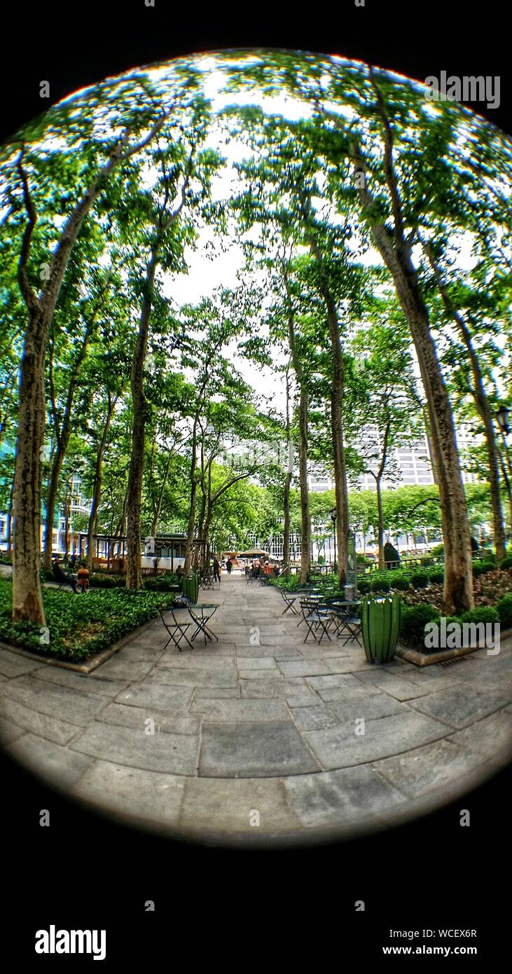 Lens trees hi-res stock photography and images - Alamy