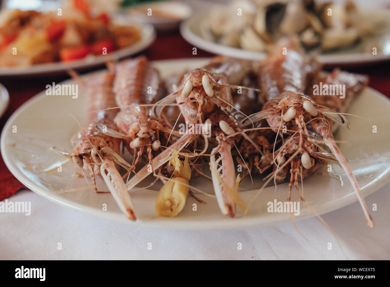 Mantis shrimps hi-res stock photography and images - Alamy