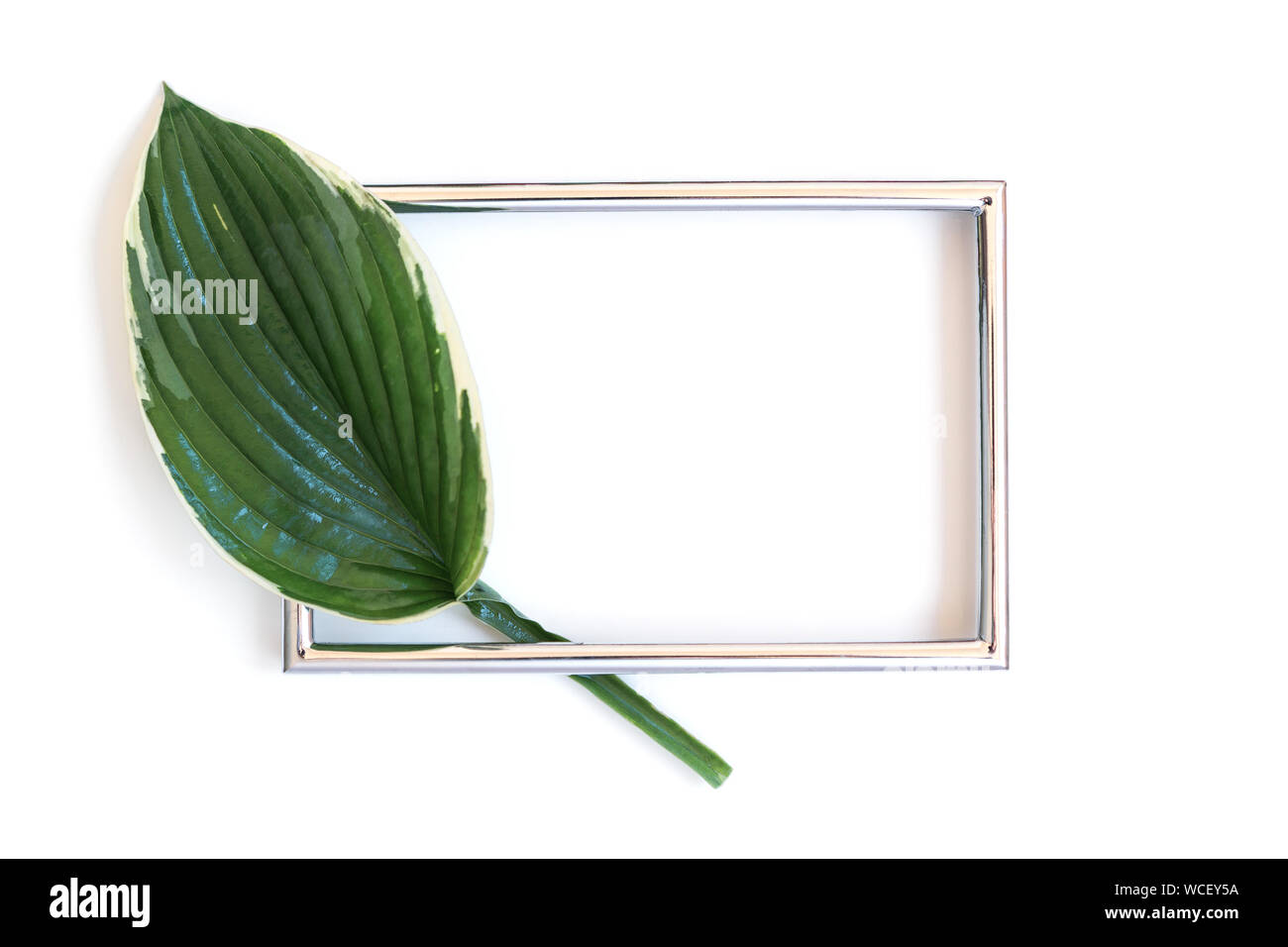 Frame creative layout made Cut Out Stock Images & Pictures - Alamy