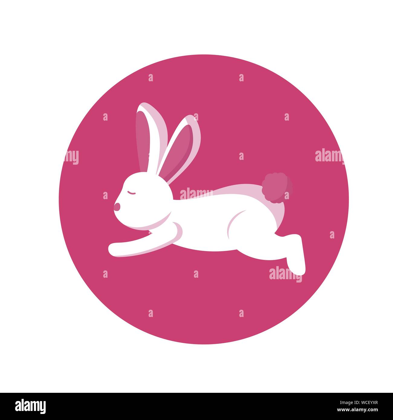 Isolated rabbit cartoon vector design Stock Vector Image & Art - Alamy