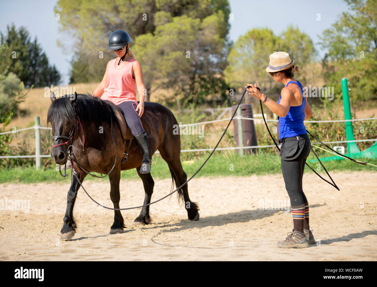 riding girl are training her black horse Stock Photo - Alamy
