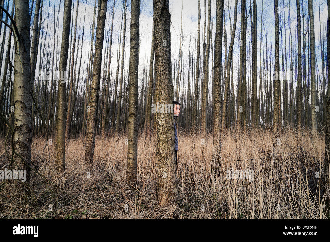 Man hiding in tree hi-res stock photography and images - Alamy