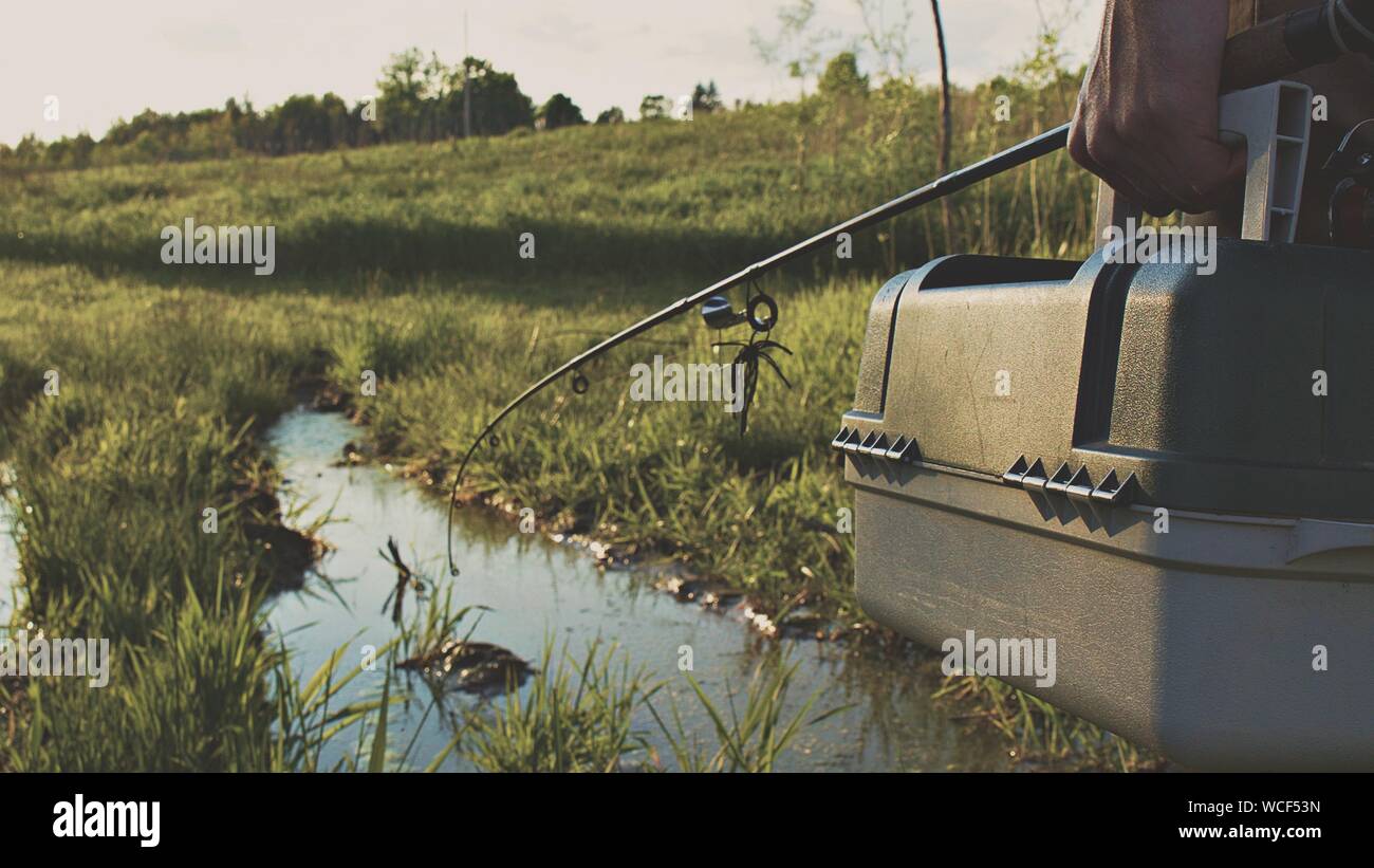 Human Hand Holding Fishing Rod Stock Photo - Alamy