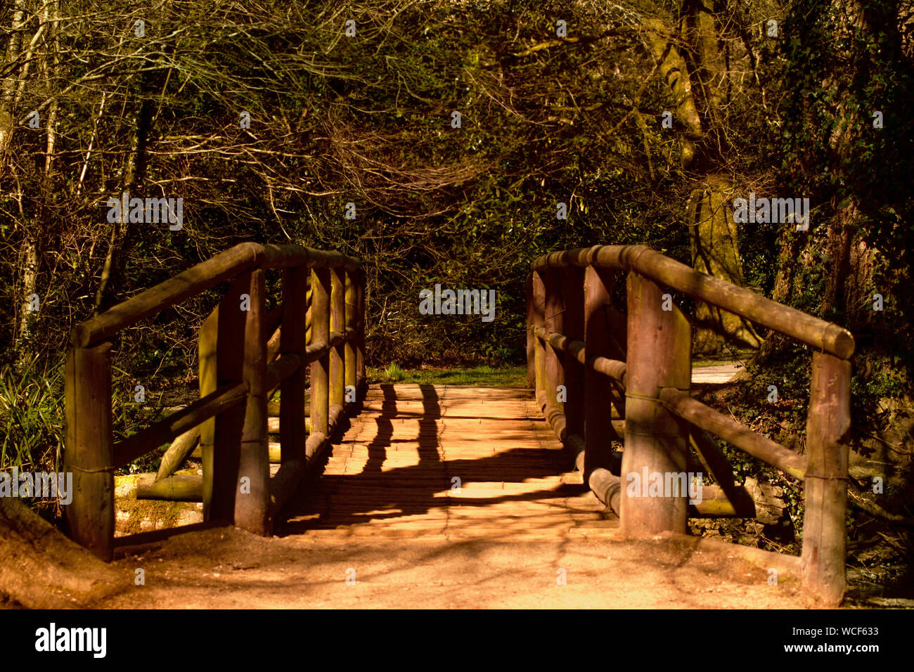 Bridge to trees hi-res stock photography and images - Alamy