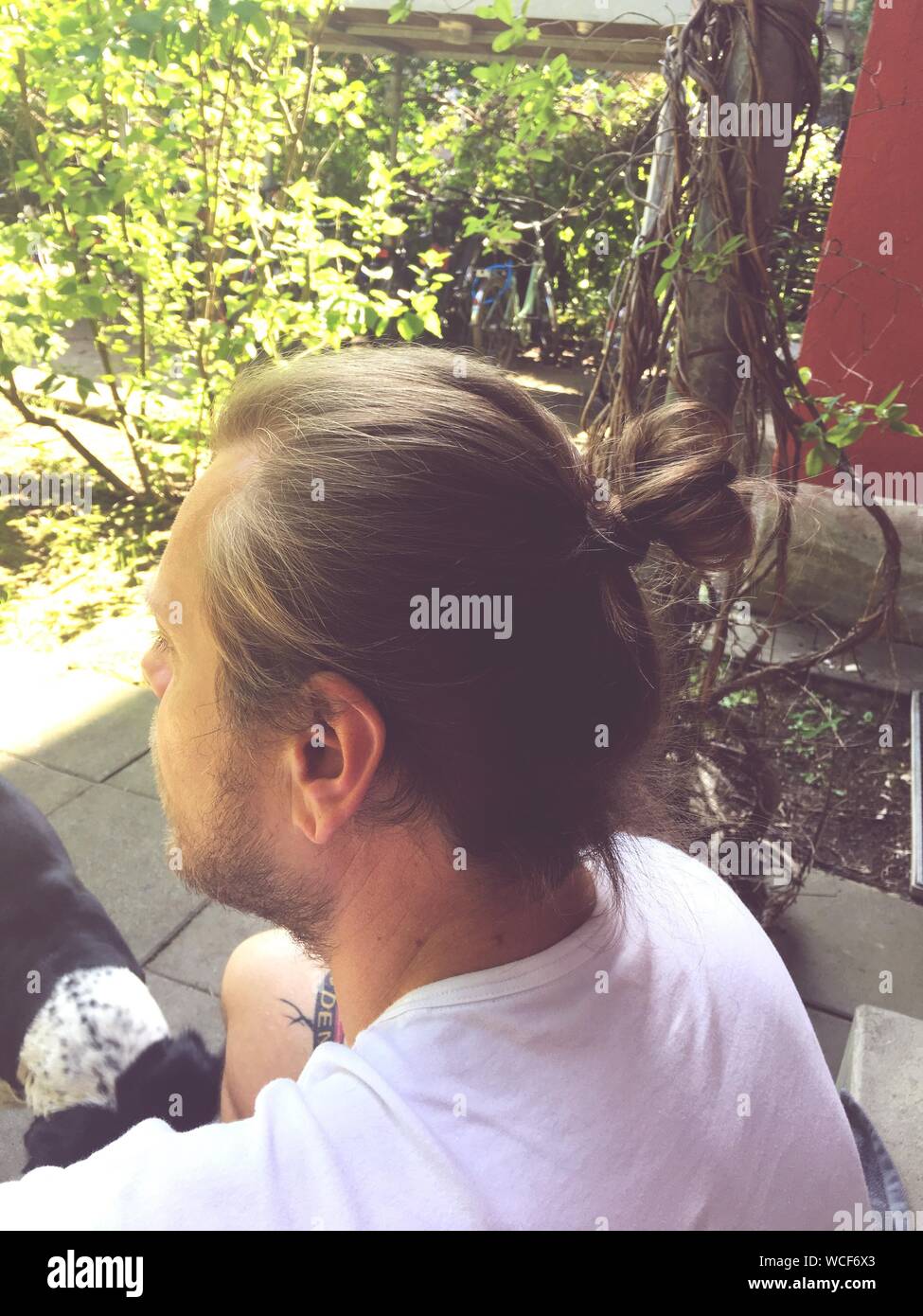 Man with ponytail hi-res stock photography and images - Alamy