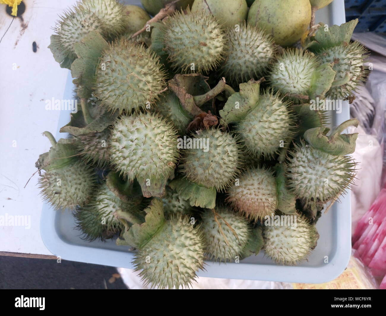 Fruit Of The Angels High Resolution Stock Photography and Images - Alamy