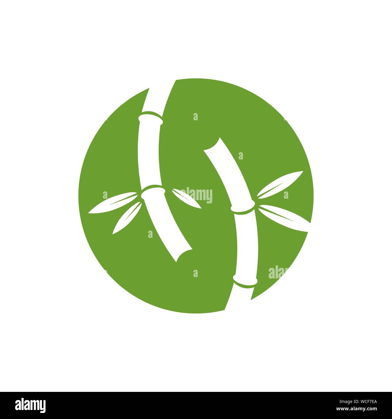 Bamboo graphic design template vector isolated illustration Stock ...