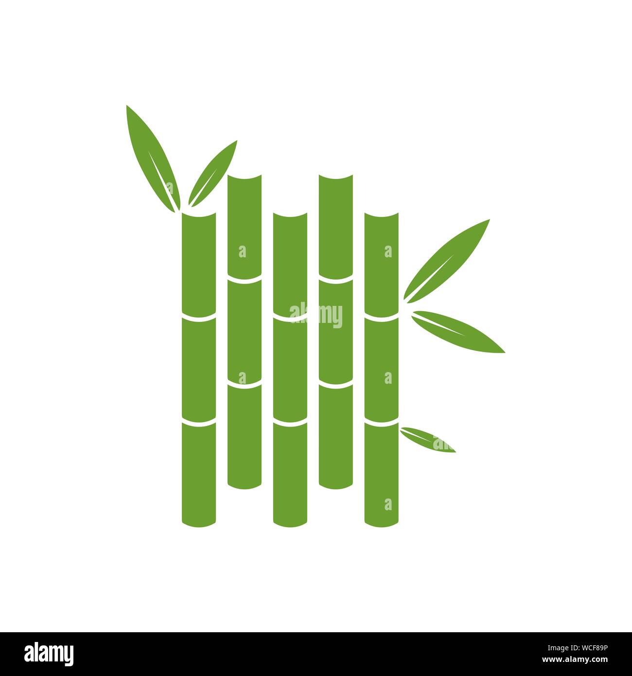 Bamboo graphic design template vector isolated illustration Stock ...