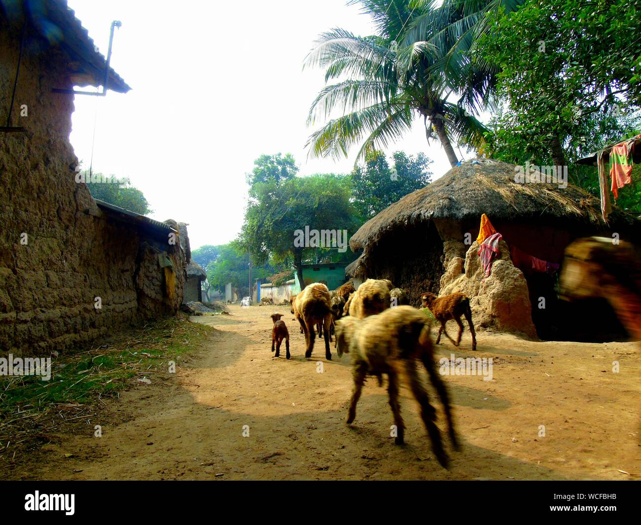 Walking into village hi-res stock photography and images - Alamy