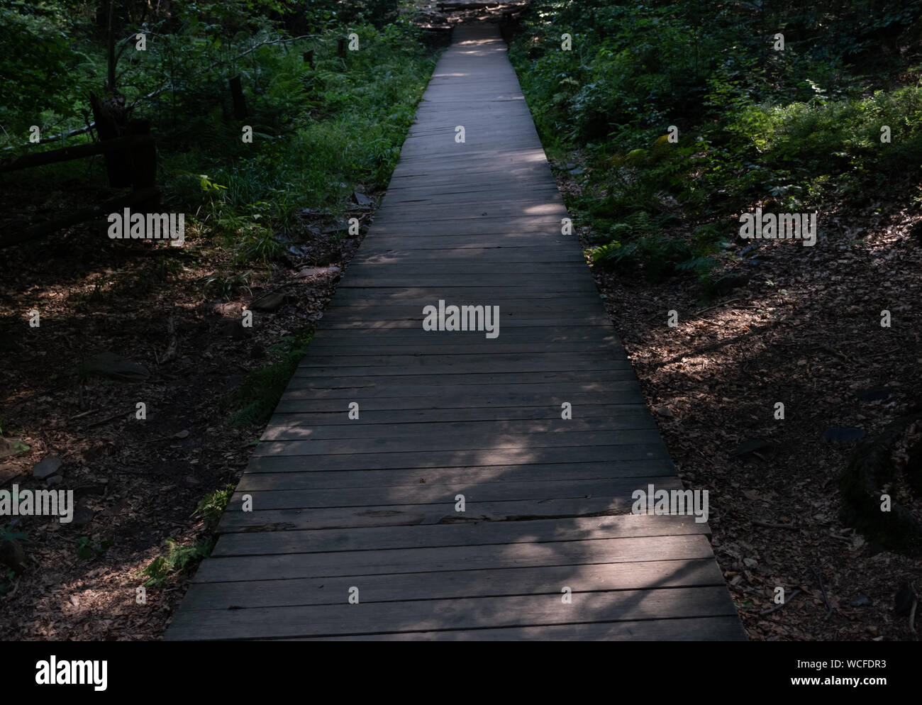 Wooden path in the woods Stock Photo - Alamy