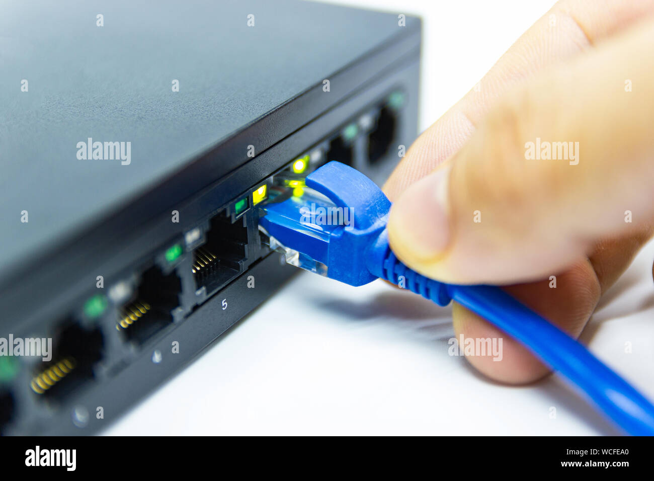Hand of man holding The blue network cables connect port switch on ...