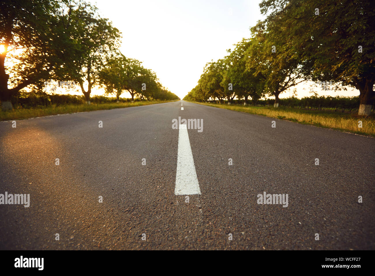 Empty asphalt road at sunrise Stock Photo - Alamy