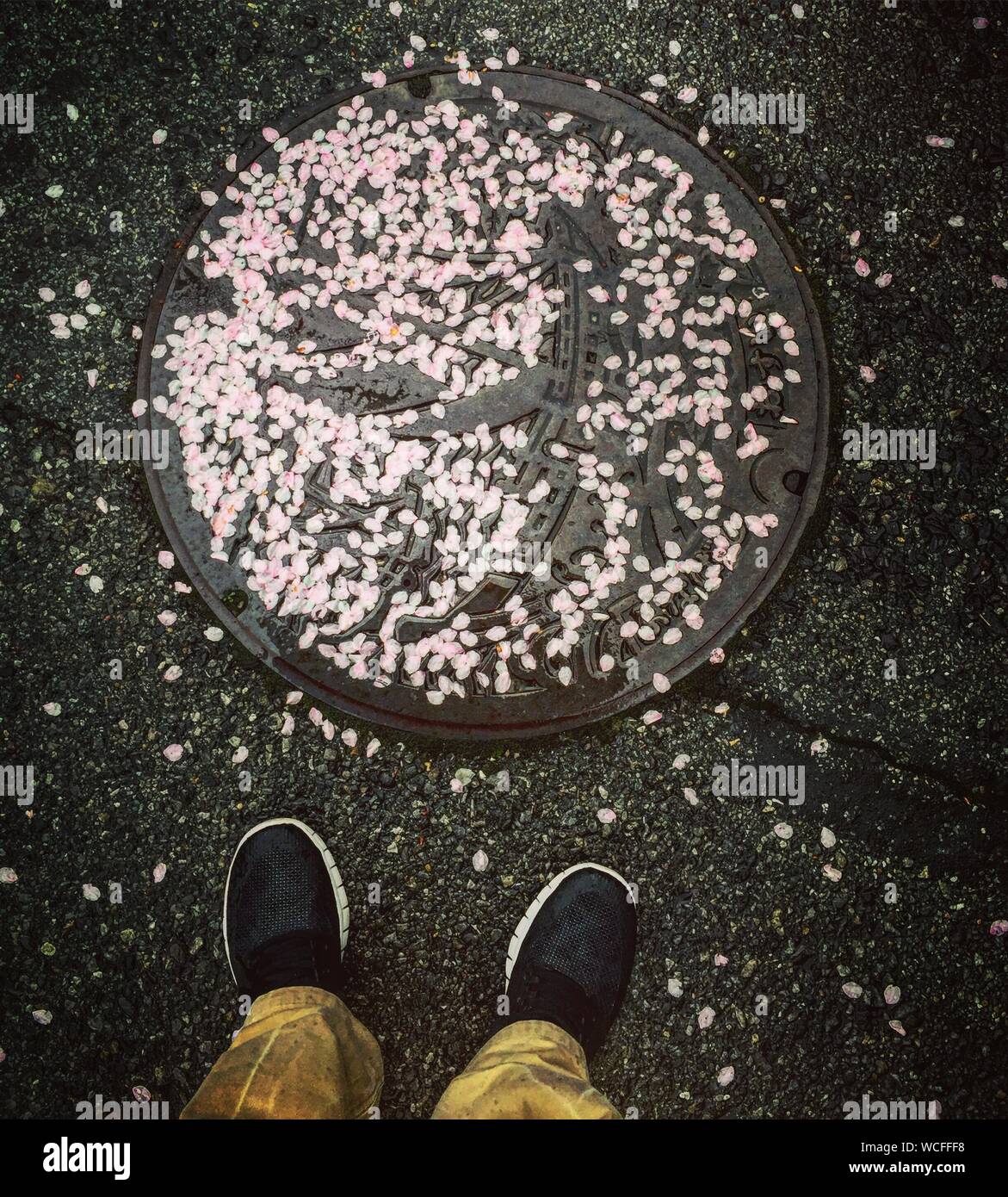 Wet manhole High Resolution Stock Photography and Images - Alamy