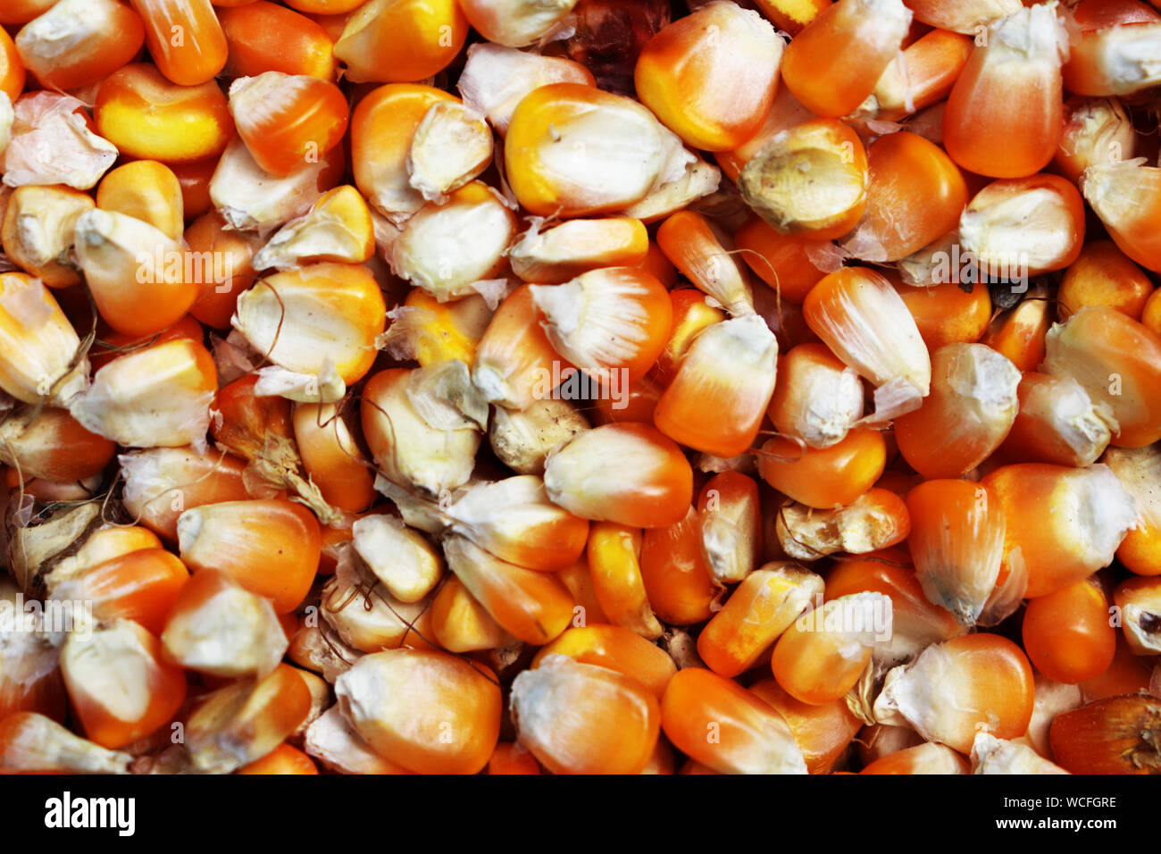 Yellow Corn background texture, Healthy food Stock Photo - Alamy