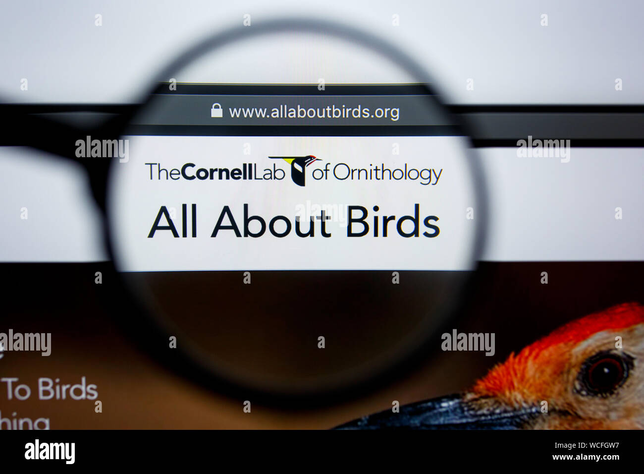 Los Angeles, California, USA - 29 Jule 2019: Illustrative Editorial of ...