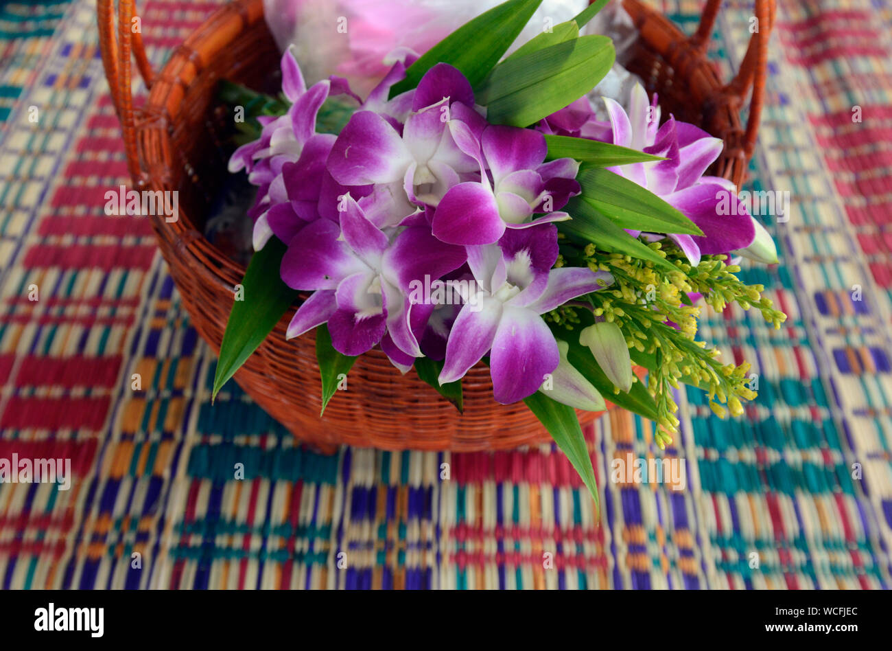 Orchids basket hi-res stock photography and images - Alamy