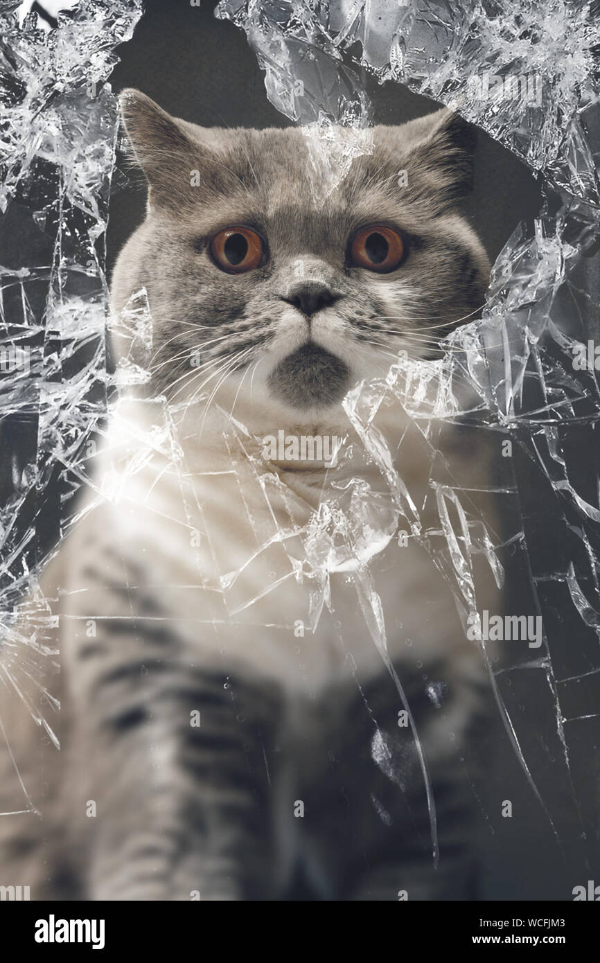 Broken eyes hi-res stock photography and images - Alamy