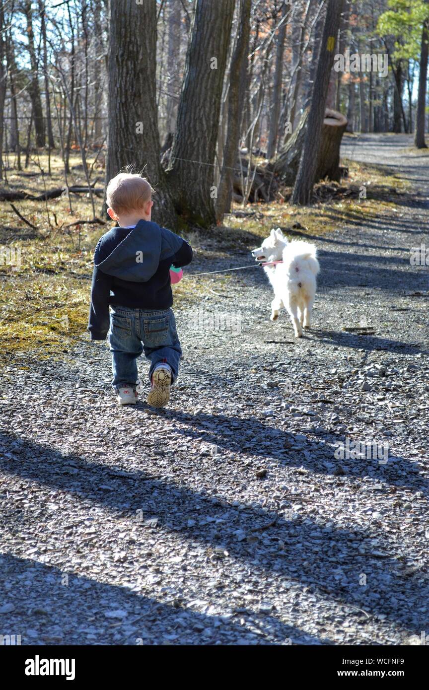 Boy walking his dog hi-res stock photography and images - Alamy