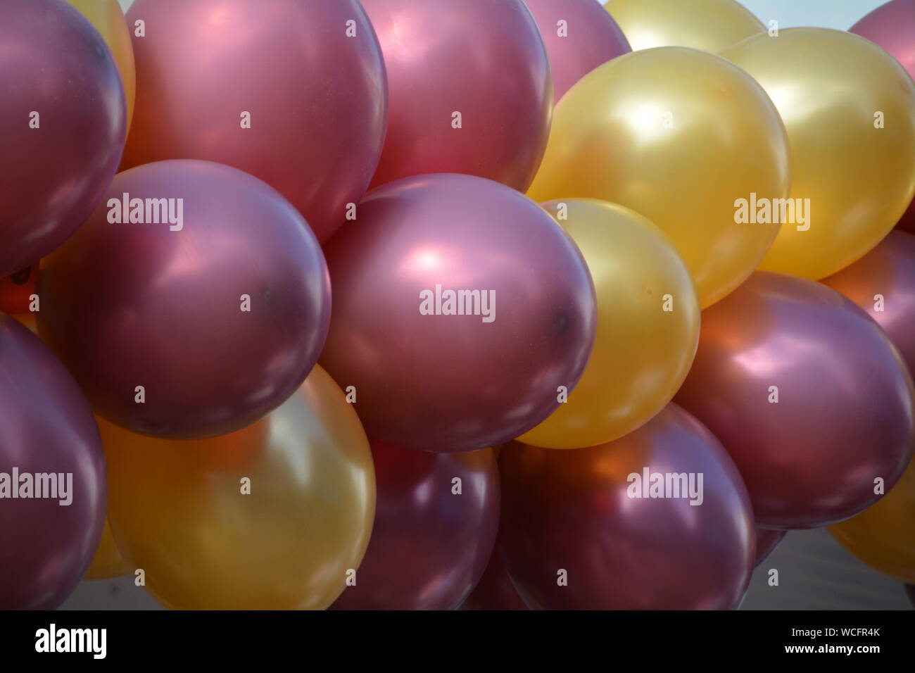 Purple balloons hi-res stock photography and images - Alamy