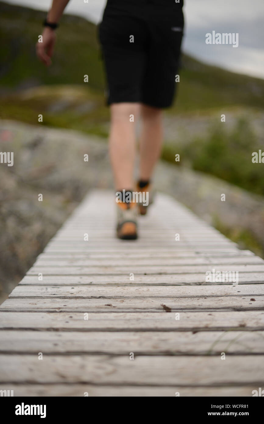 Exploration nature pathway hi-res stock photography and images - Alamy