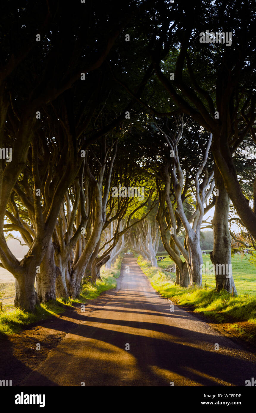 Narrow winding pathway hi-res stock photography and images - Alamy