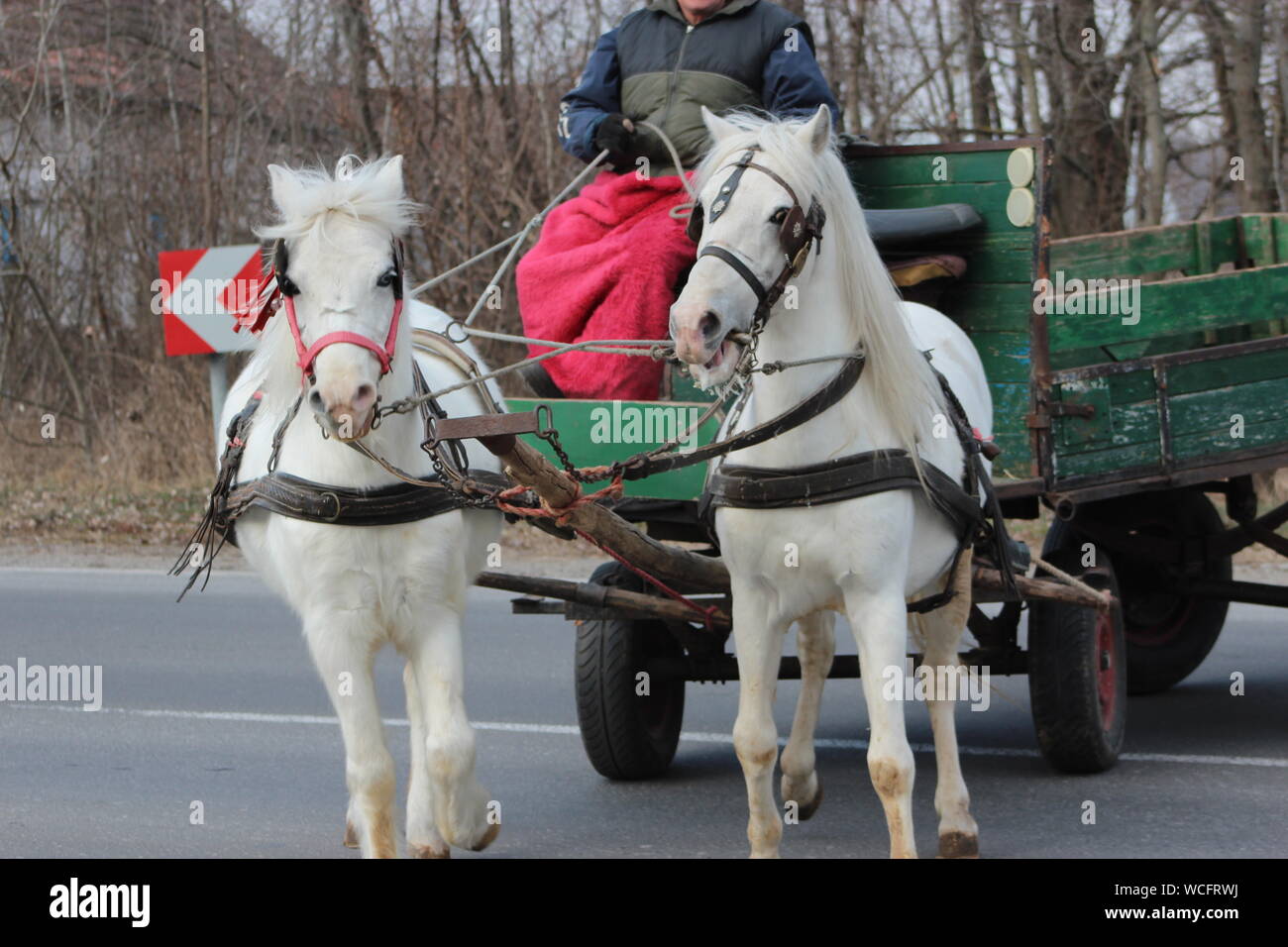 People Riding Horse Drawn Carriage High Resolution Stock Photography ...