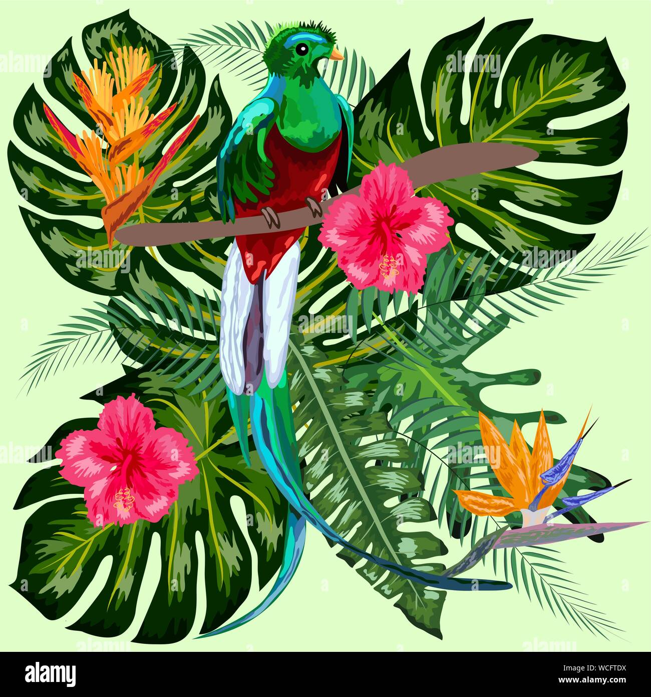 Green tropical bird Great resplendent quetzal sitting on a branch ...