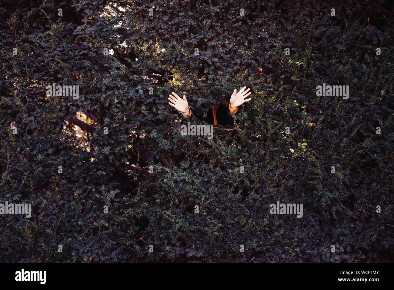 Public waving hi-res stock photography and images - Alamy