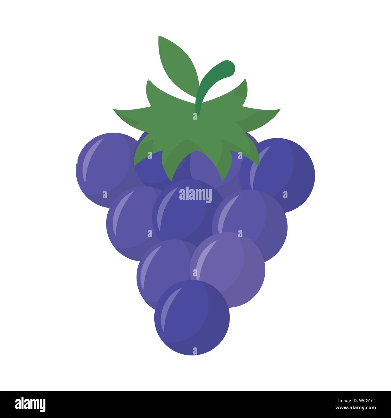 Isolated grapes fruit vector design Stock Vector Image & Art - Alamy
