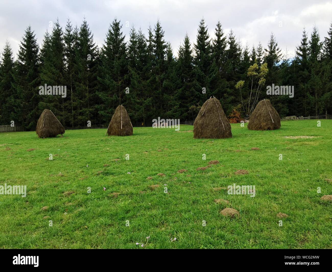 Straw heap hi-res stock photography and images - Alamy