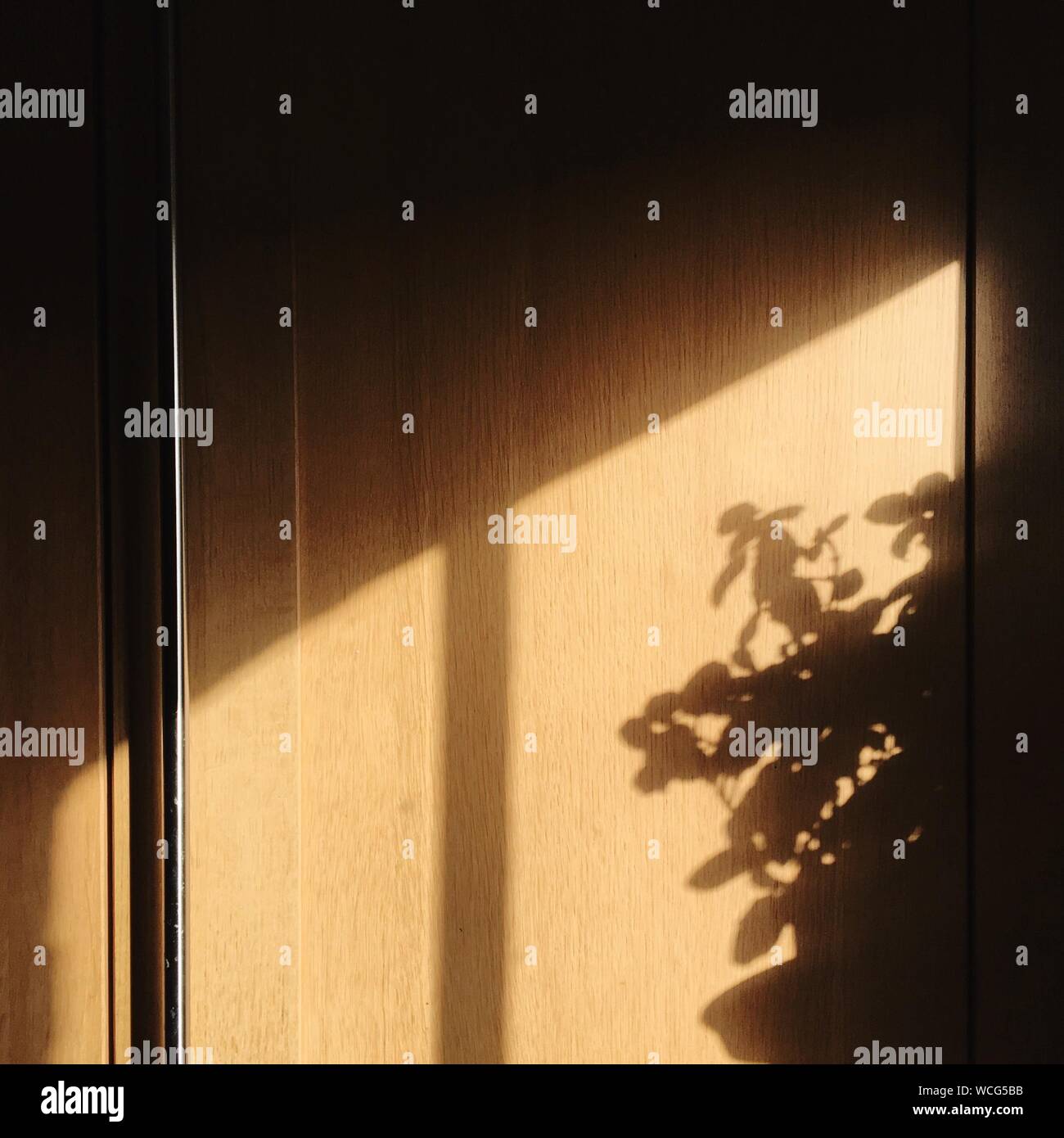 Shadow man house indoors hi-res stock photography and images - Alamy