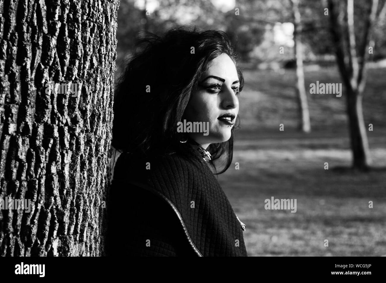 Gothic tree hi-res stock photography and images - Alamy