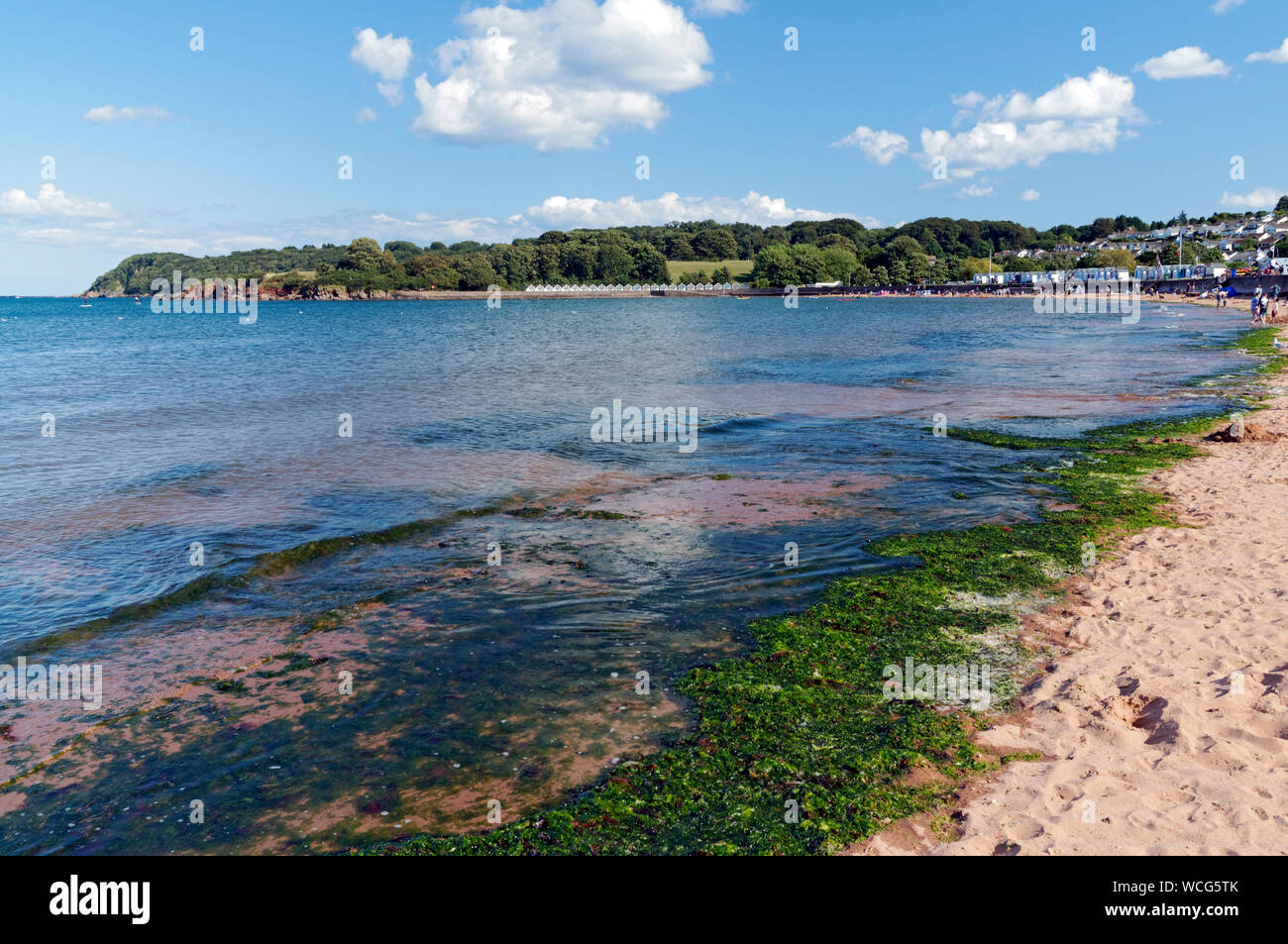 Broadsands beach devon hi-res stock photography and images - Alamy
