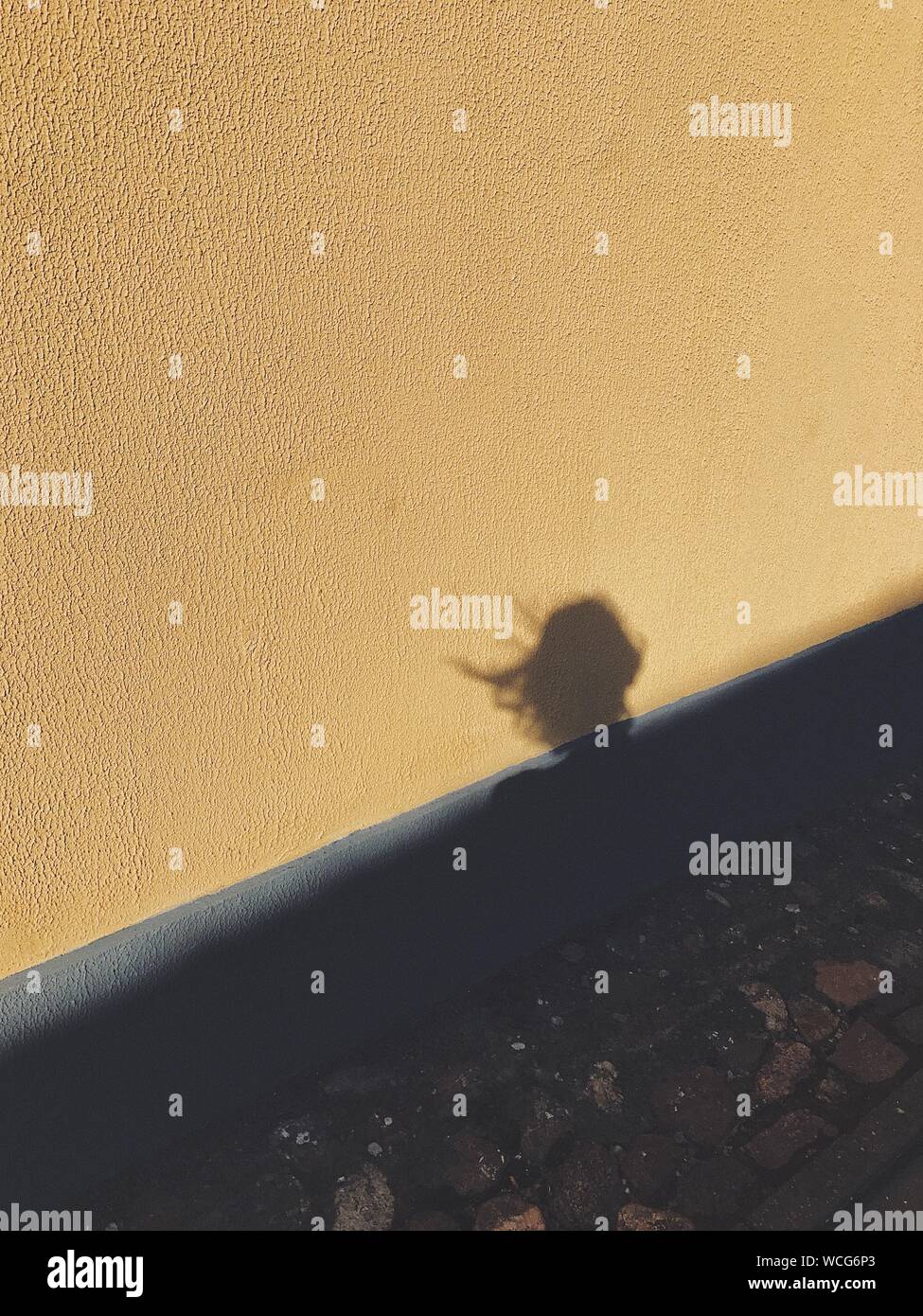 Shadow Of Woman On Wall Stock Photo - Alamy