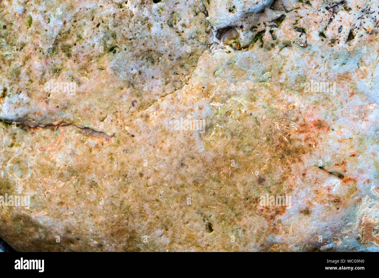 the texture of the stone, sea stone background Stock Photo - Alamy
