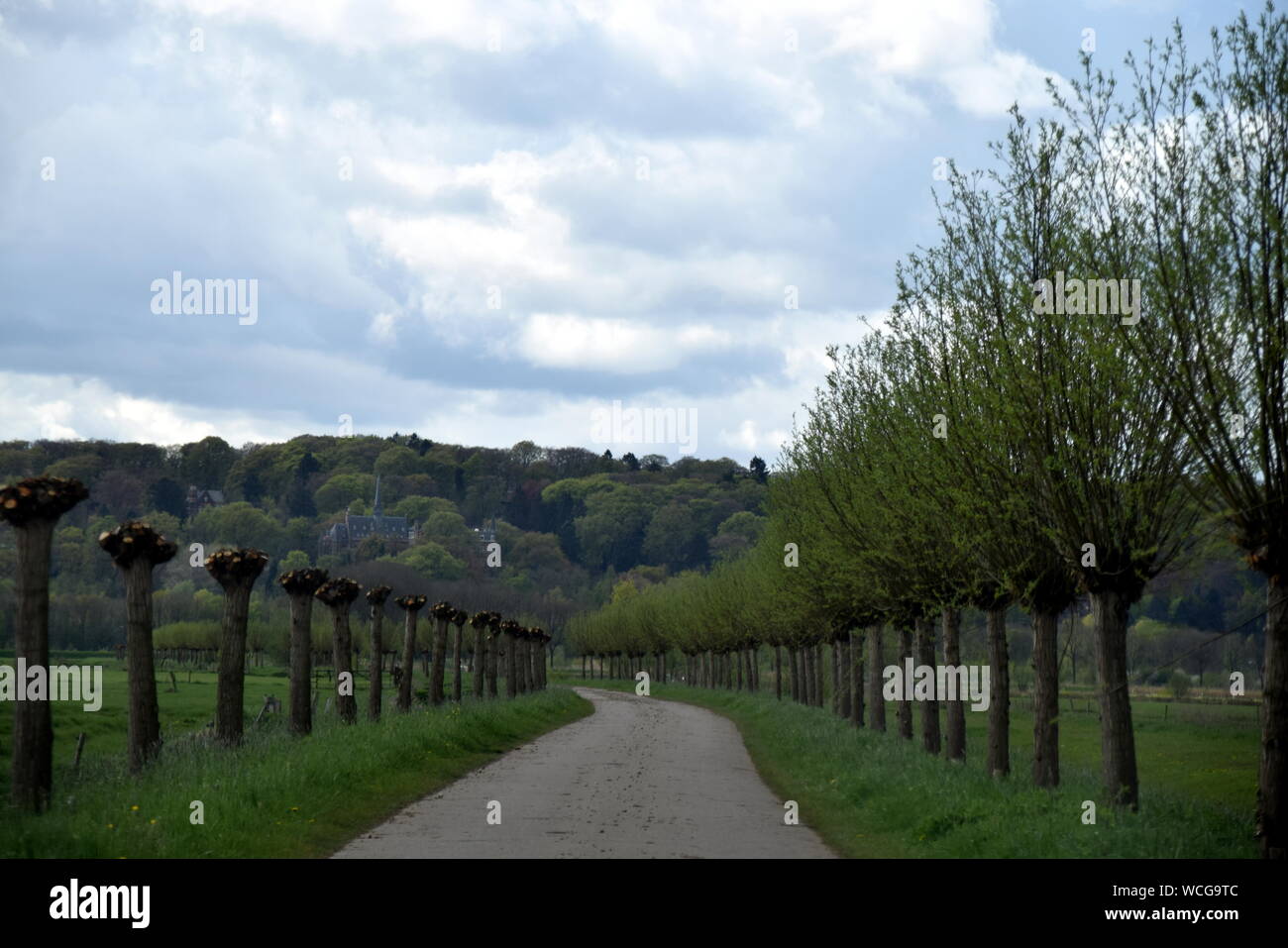 Pathway in a field hi-res stock photography and images - Alamy