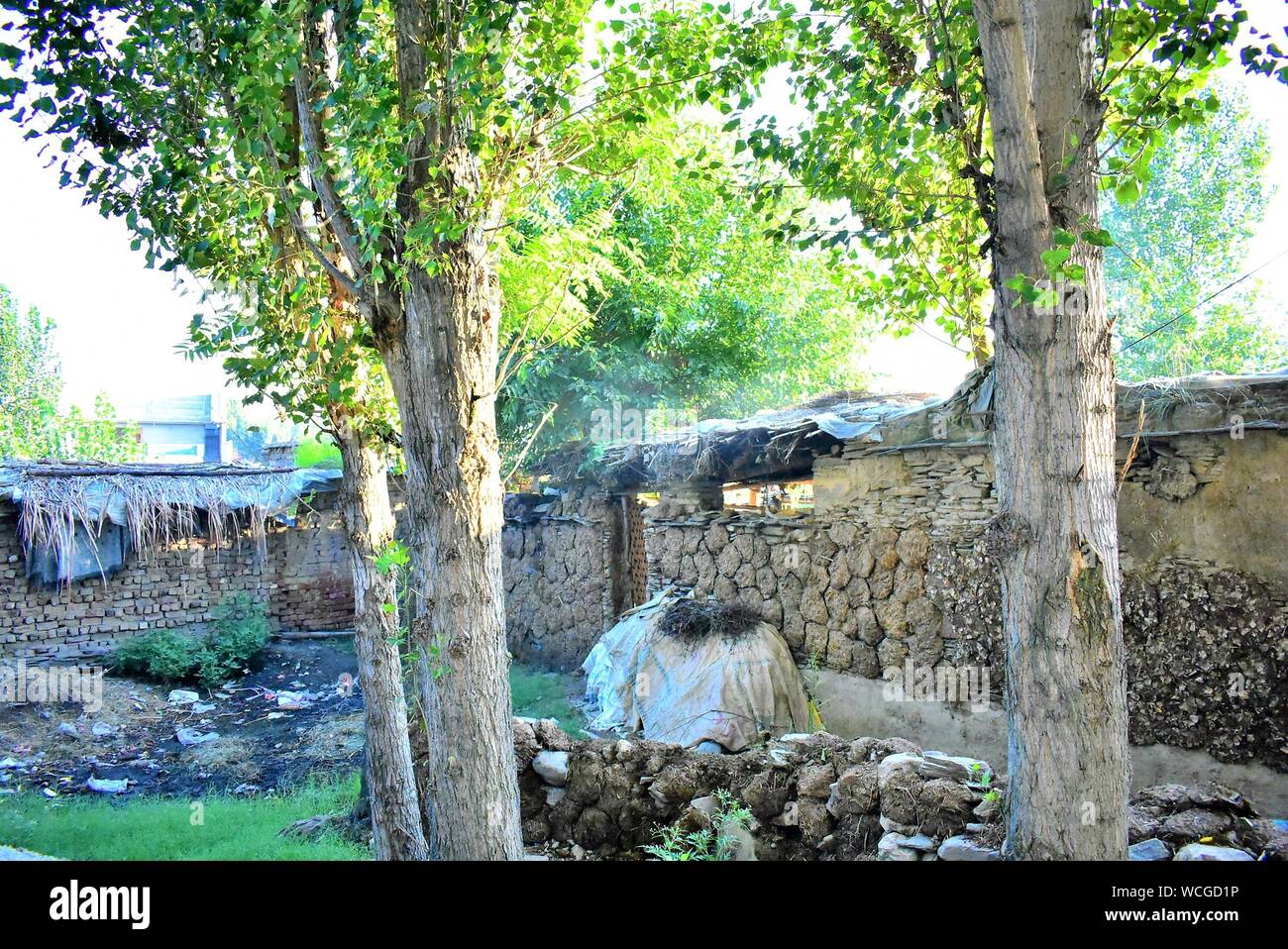 Life skills hi-res stock photography and images - Alamy