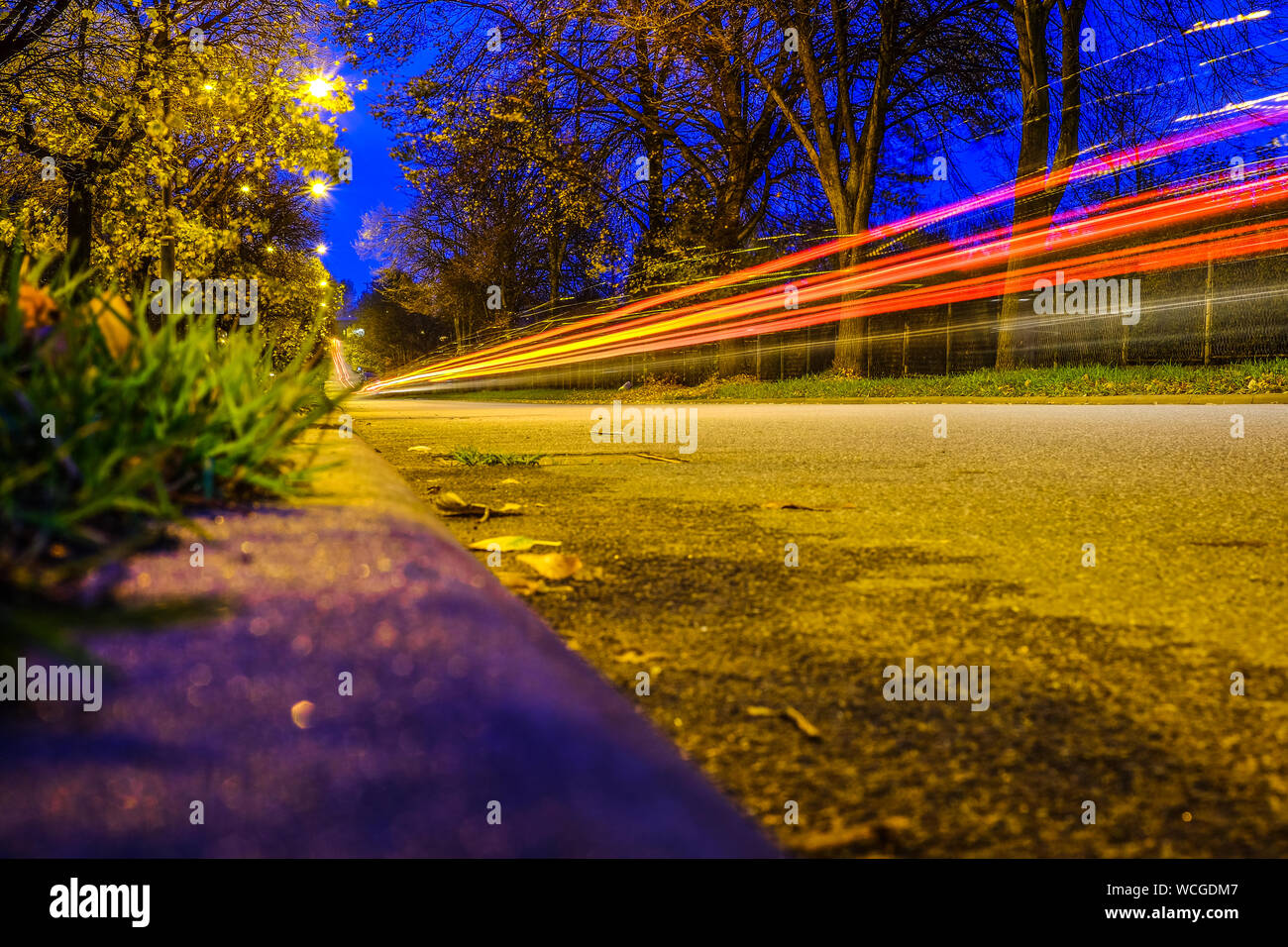 Road night motion trees hi-res stock photography and images - Alamy
