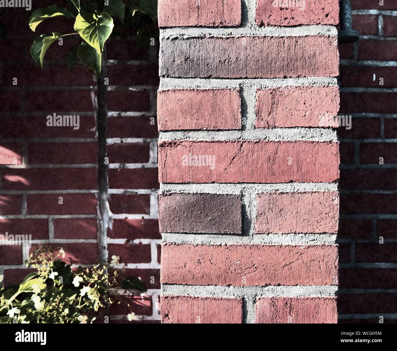 Detailed closeup view on aged and weathered red bricks walls in a ...