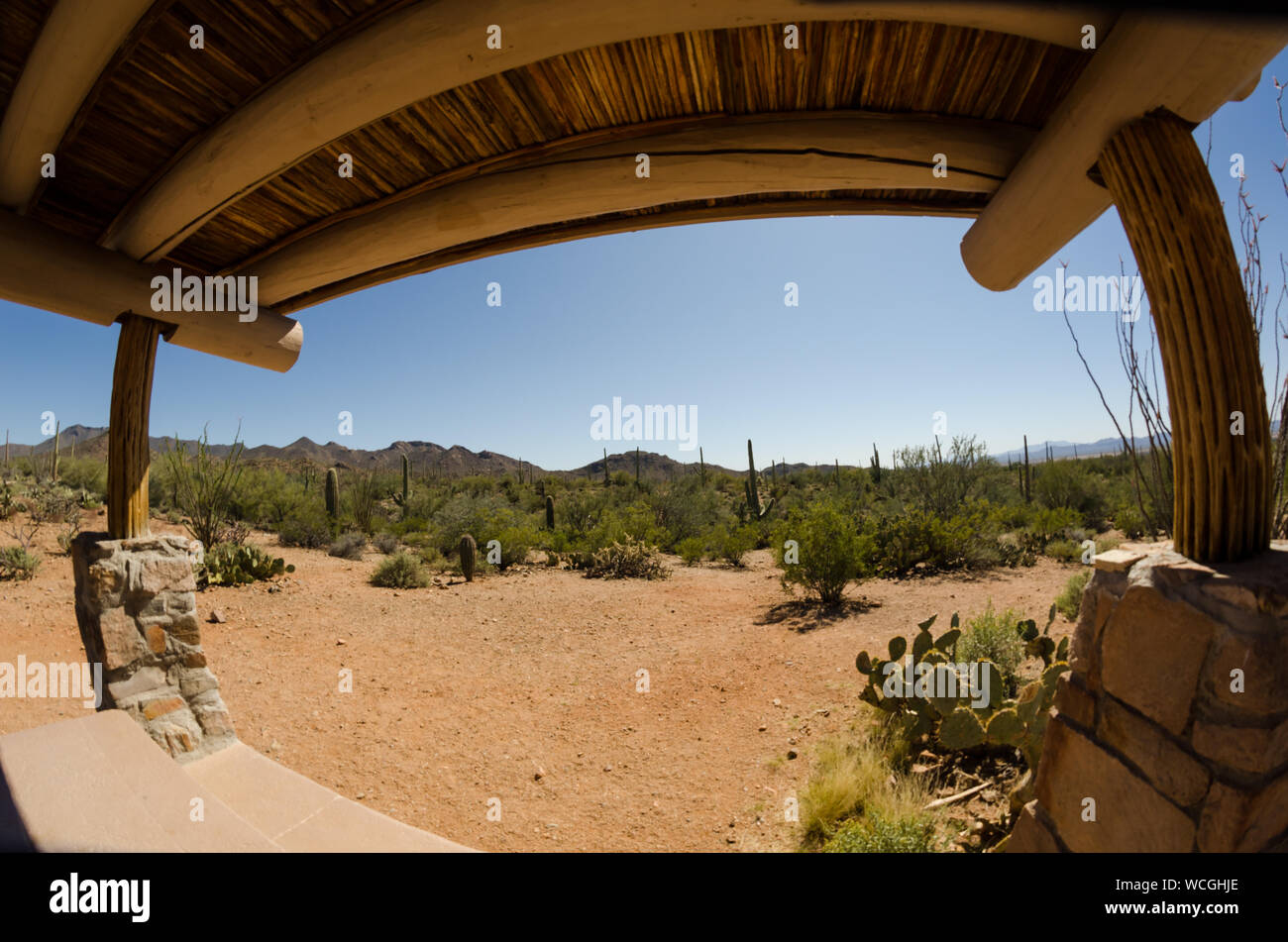 Tree Growing Through Roof High Resolution Stock Photography and Images ...