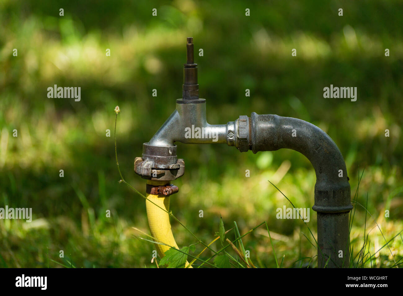 Garden hose attached to tap hi-res stock photography and images - Alamy