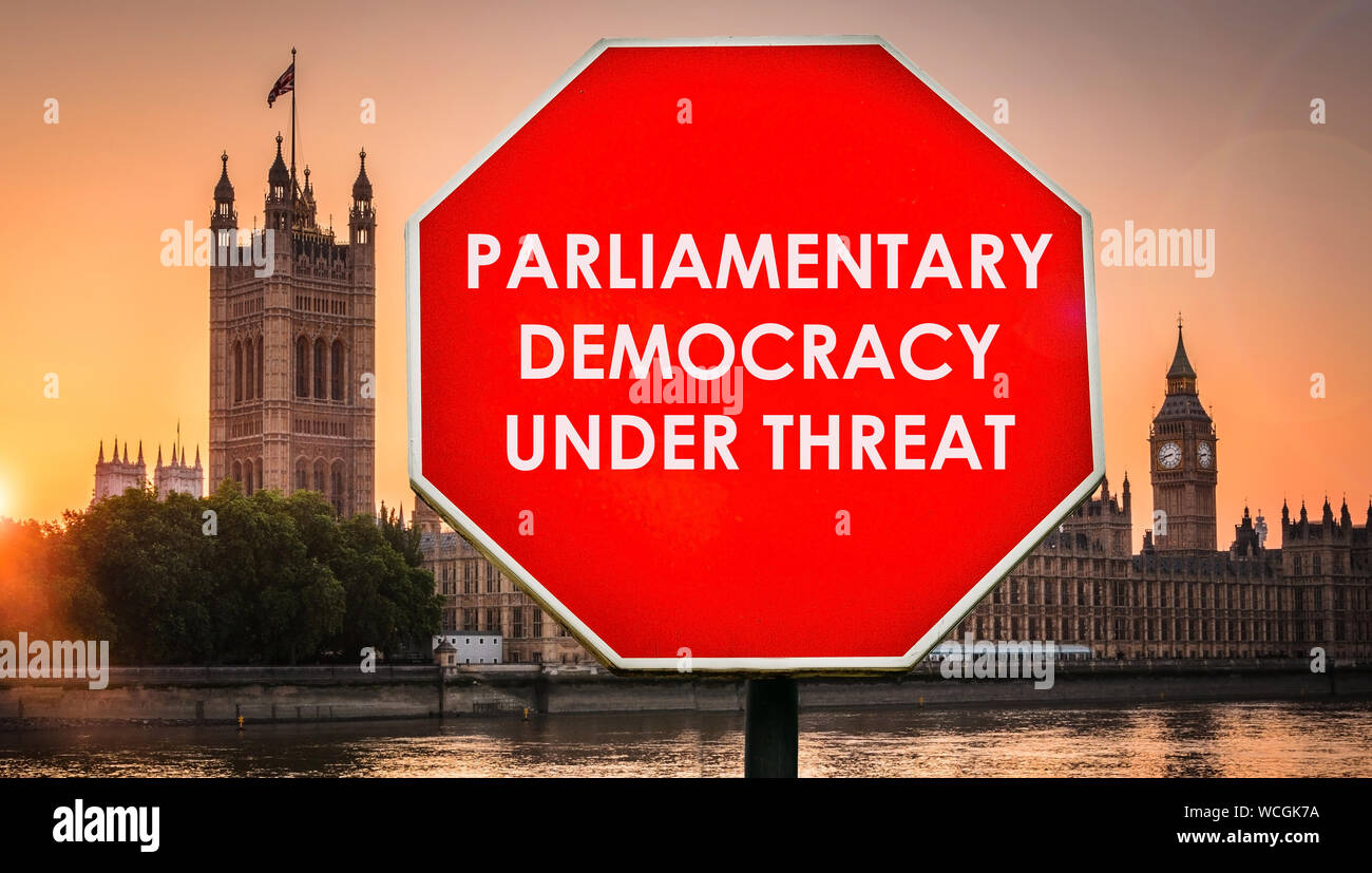 Simple Picture Of Parliamentary Democracy