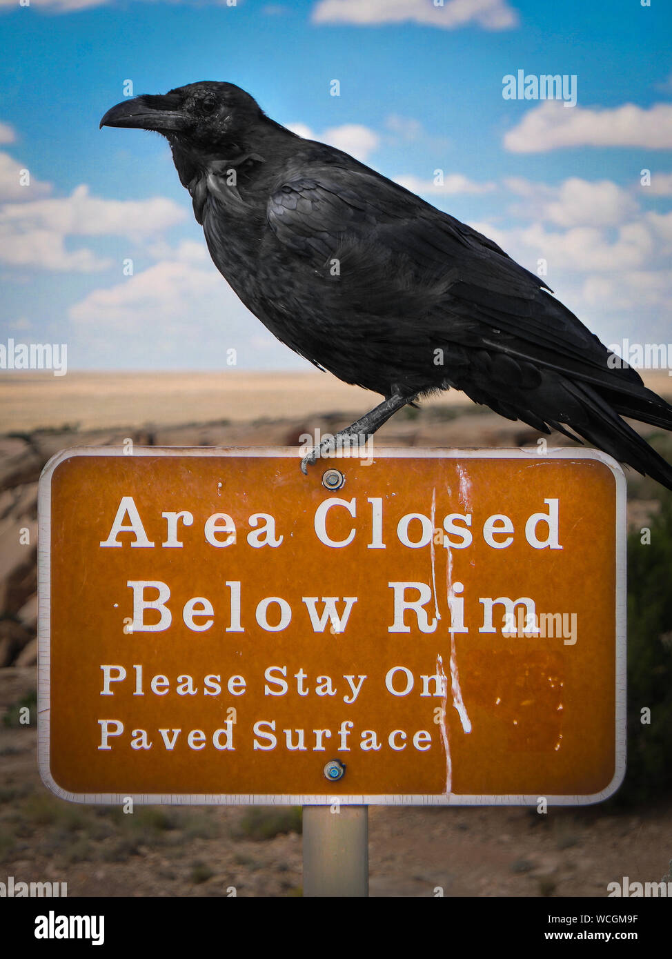 Sign raven hi-res stock photography and images - Alamy